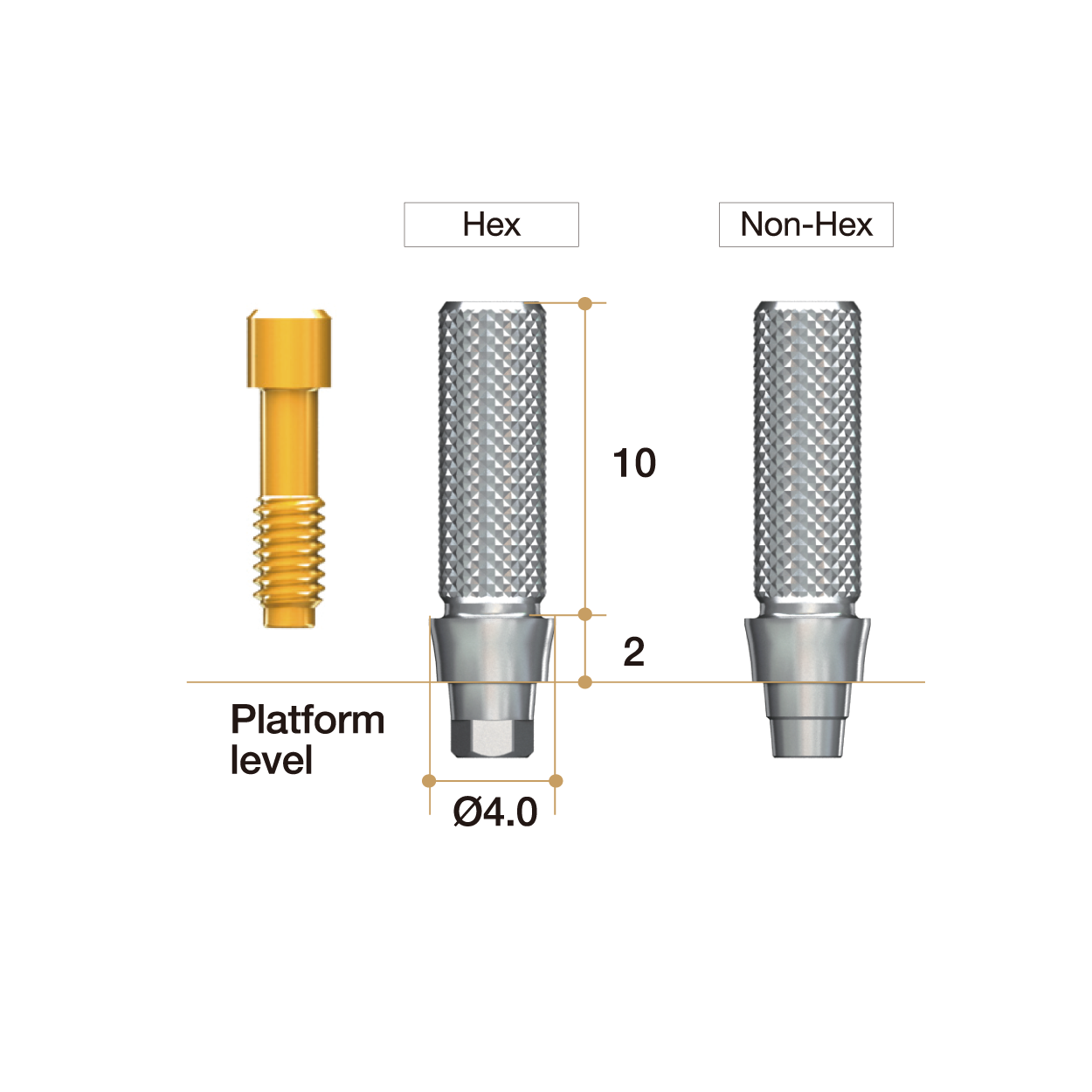 MEGAGEN / Temporary Abutment [AR] φ4/ Hex